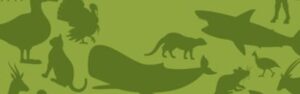 Animal EconomicsFifteen Eighty Four | Cambridge University Press